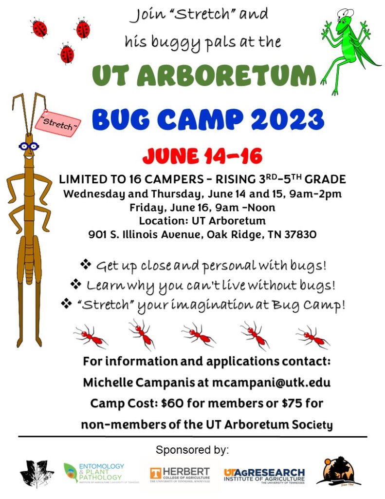 Bug Camp for Children | UT Arboretum