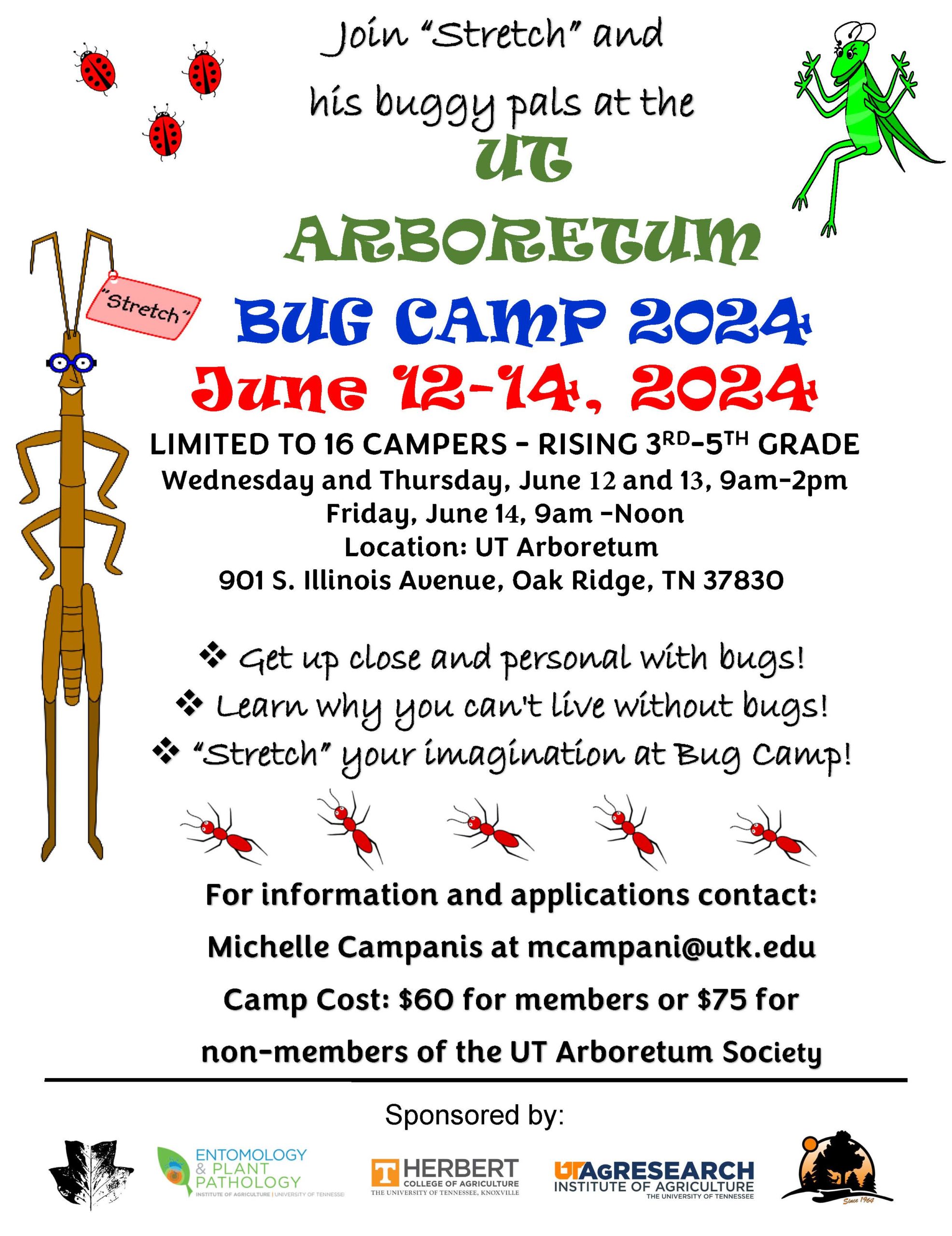 Bug Camp for Children | UT Arboretum
